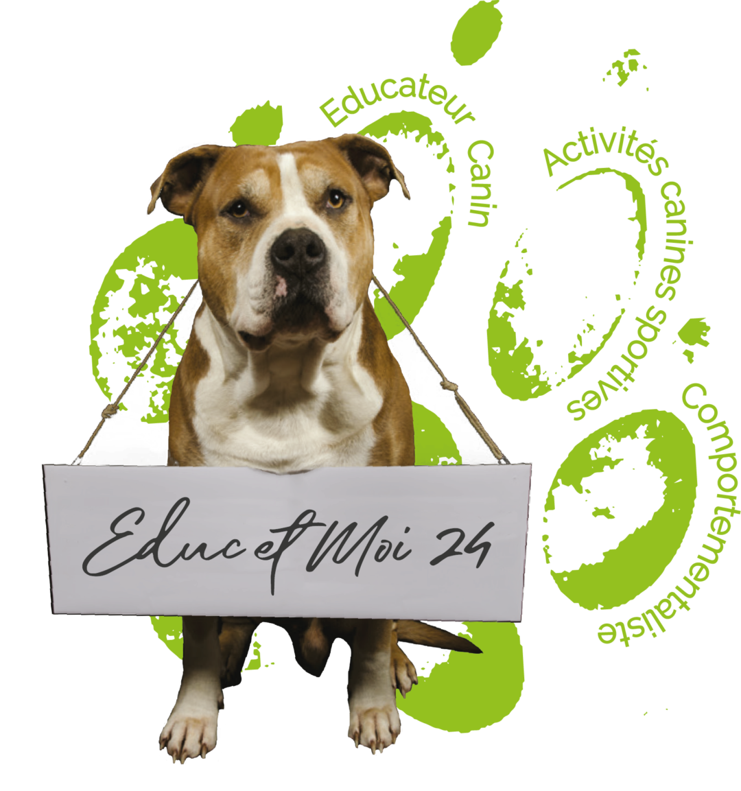 Contact Éducateur canin en Dordogne - Educ & Moi 24